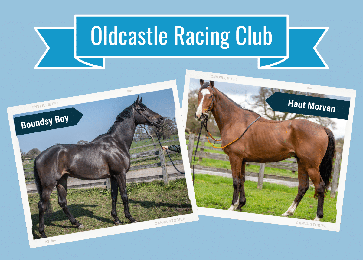 The Oldcastle Racing Club - Shares in 2 Horses | Greenall Guerriero Racing