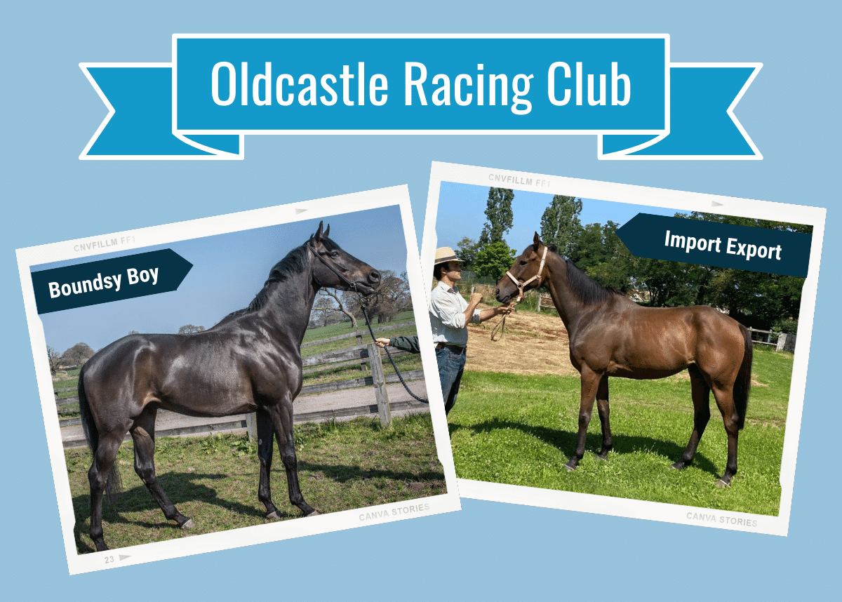 The Oldcastle Racing Club - Shares in 2 Horses | Greenall Guerriero Racing
