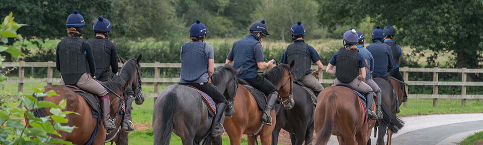 About Us | Greenall Guerriero Racing