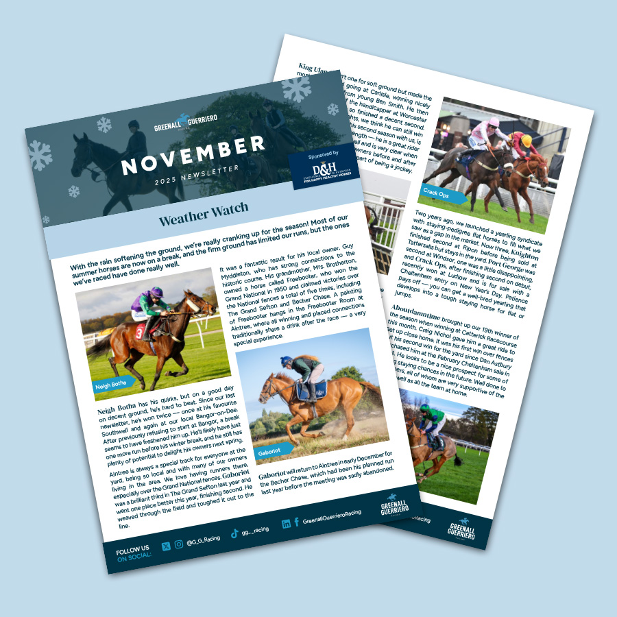 November 2025 Newsletter | Greenall Guerriero Racing